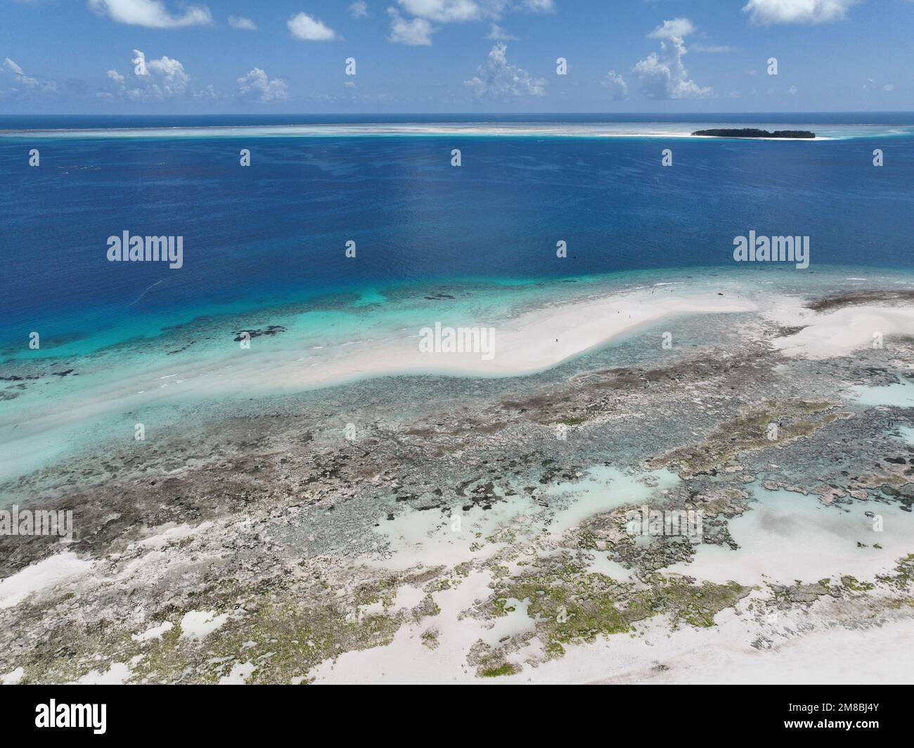 Zanzibar (Muyuni Beach on the largest island of the Zanzibar ...