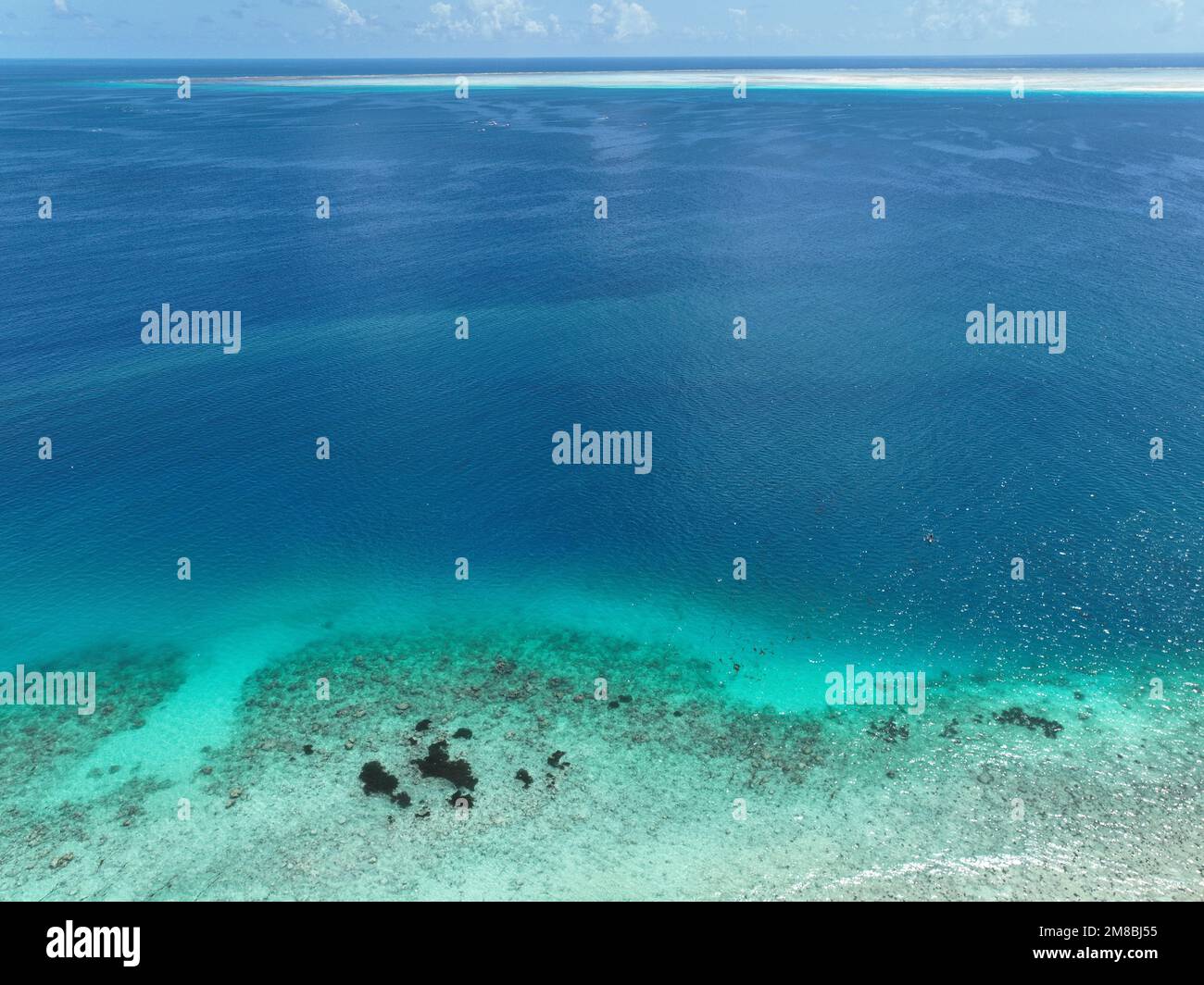 Zanzibar (Muyuni Beach on the largest island of the Zanzibar ...