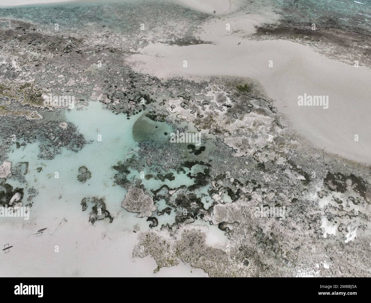 Zanzibar (Muyuni Beach on the largest island of the Zanzibar ...