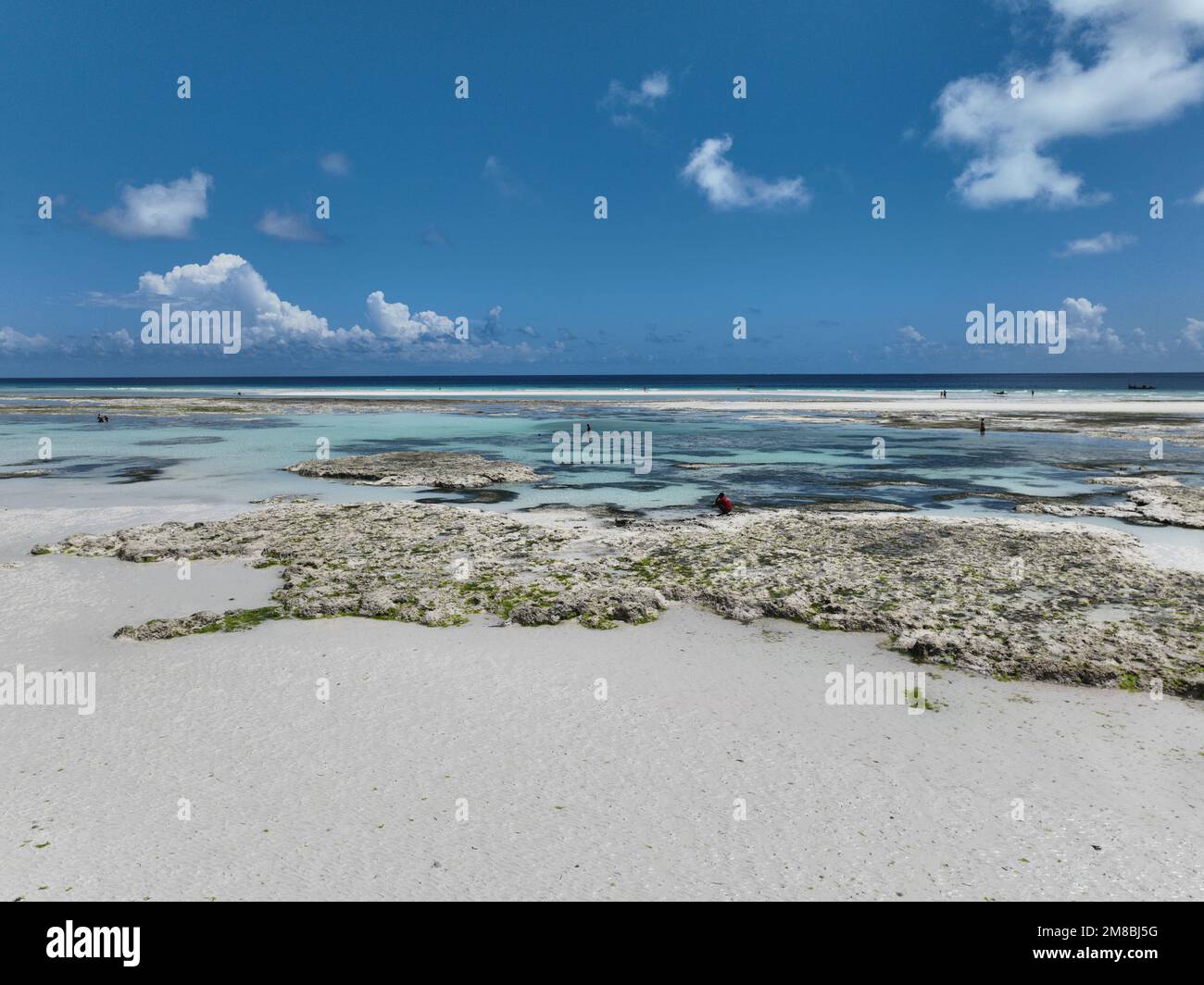 Zanzibar (Muyuni Beach on the largest island of the Zanzibar ...