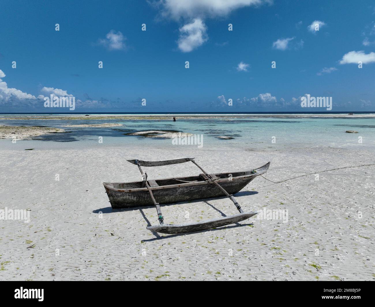 Zanzibar (Muyuni Beach on the largest island of the Zanzibar ...