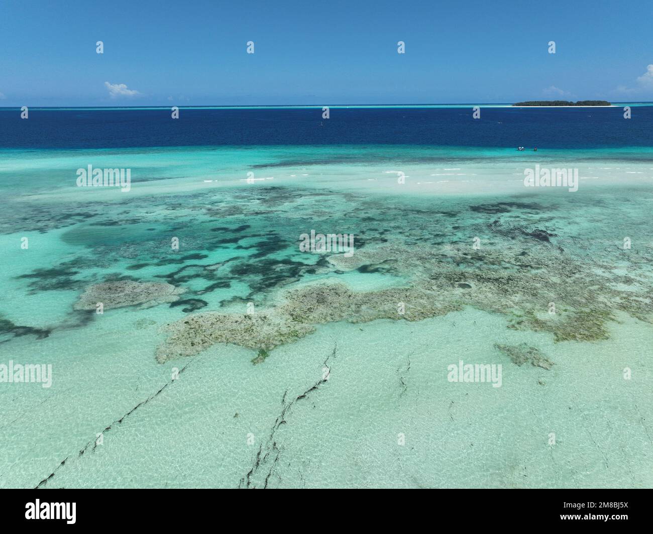 Zanzibar (Muyuni Beach on the largest island of the Zanzibar ...
