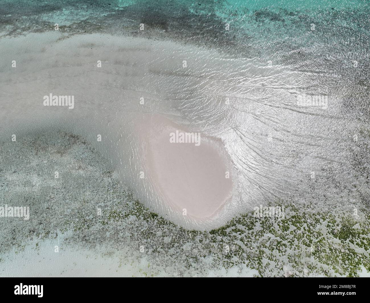 Zanzibar (Muyuni Beach on the largest island of the Zanzibar ...