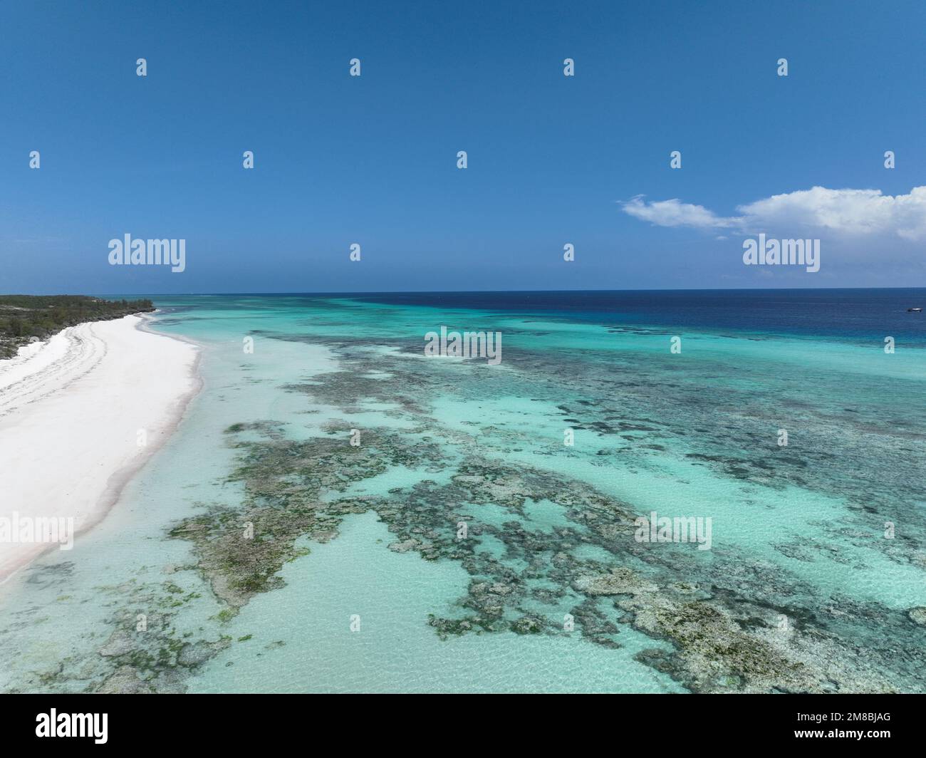 Zanzibar (Muyuni Beach on the largest island of the Zanzibar ...