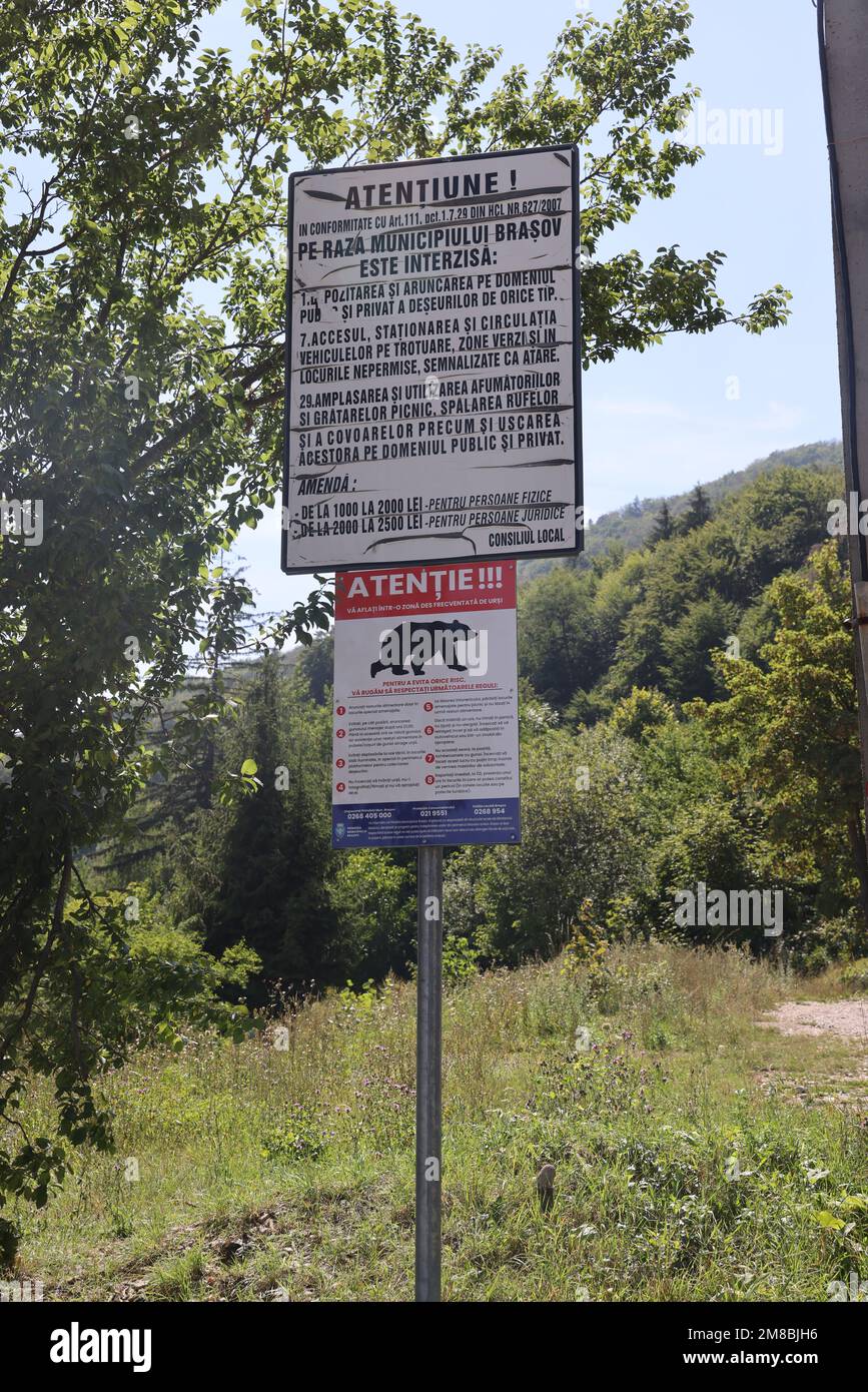 Warning sign against bears (in Romanian) on Mount Tampa in Brașov ...