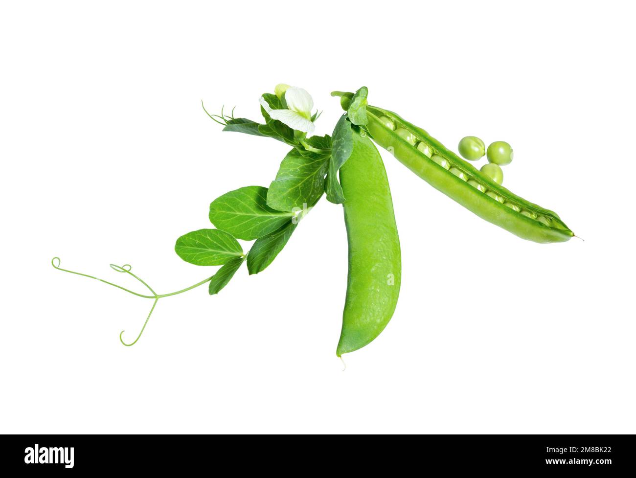 Green pea vegetable bean isolated on white background. Pea pod Stock ...