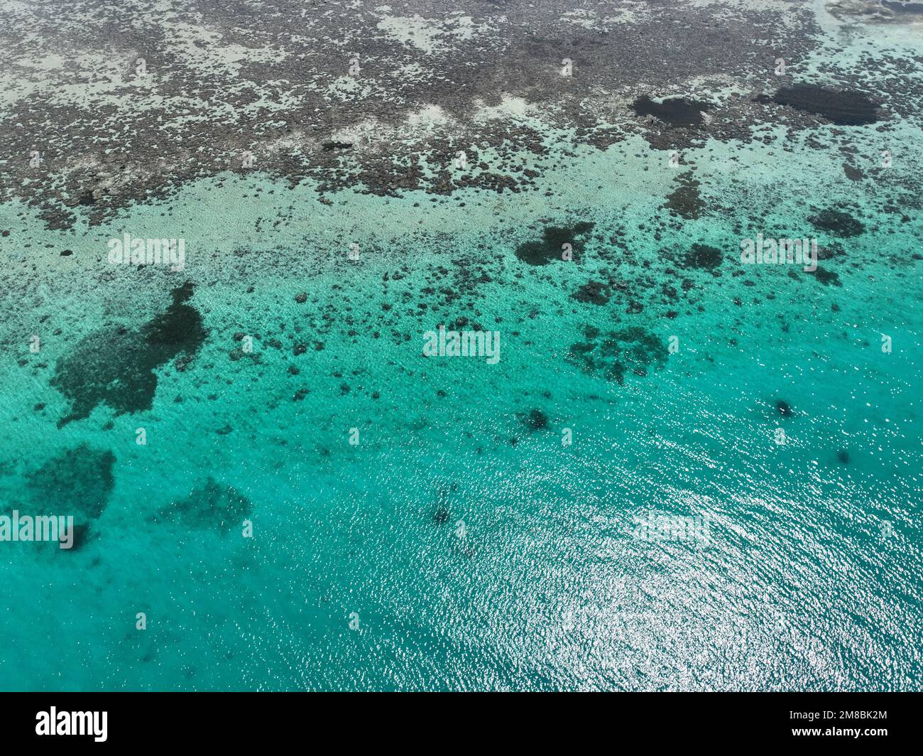 Zanzibar (Nungwi Beach on the largest island of the Zanzibar ...
