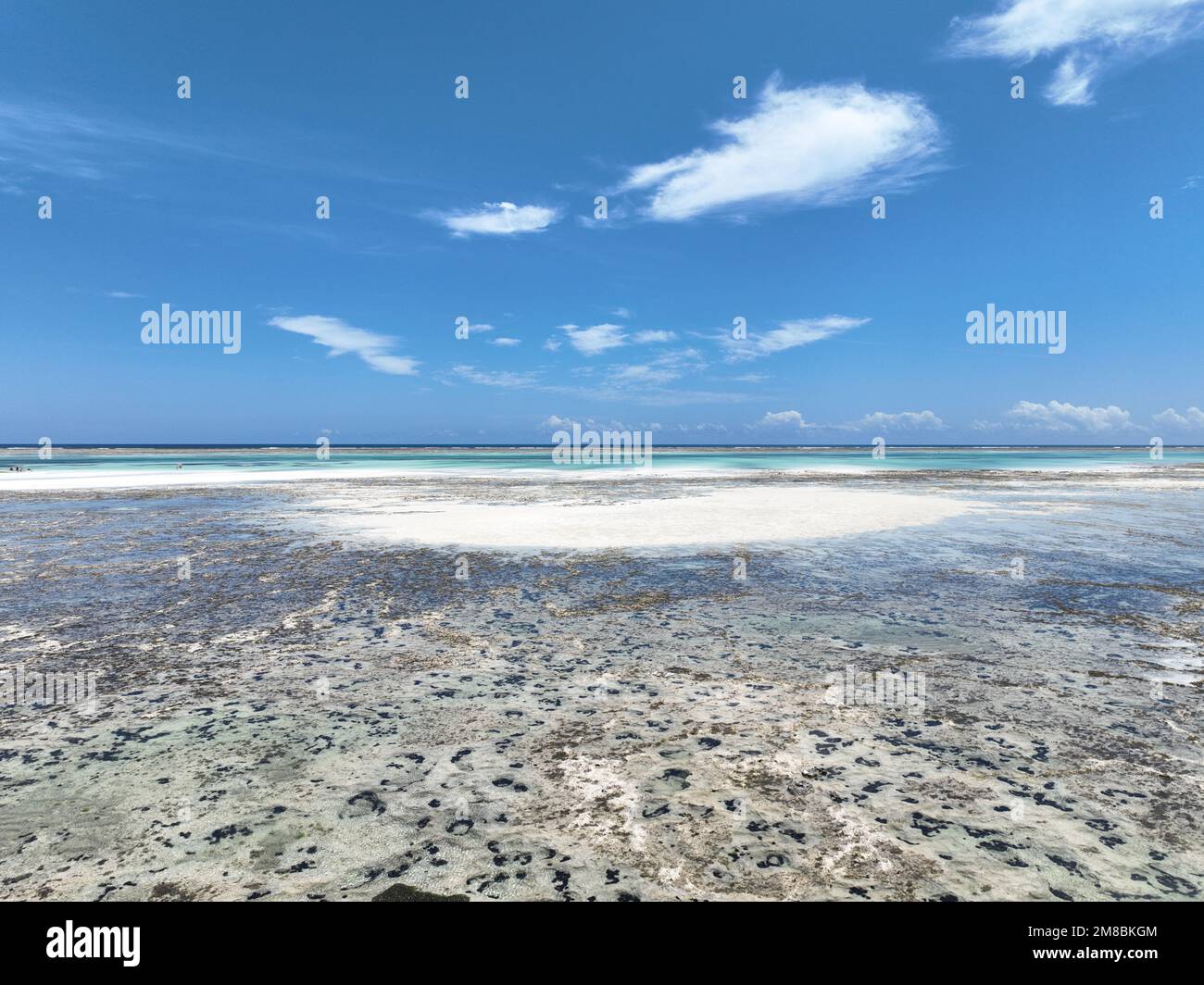 Zanzibar (Pingwe Beach on the largest island of the Zanzibar ...