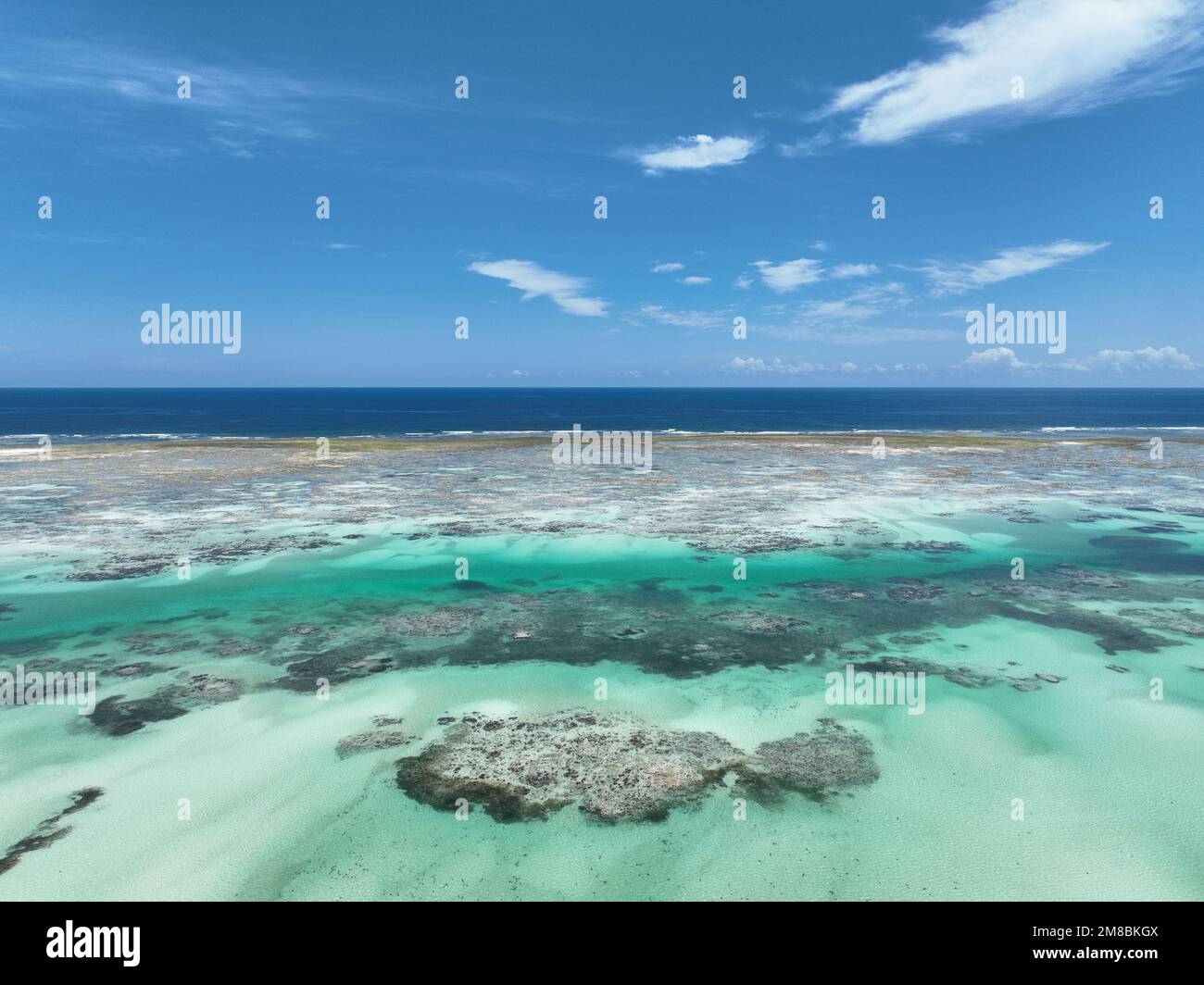 Zanzibar (Pingwe Beach on the largest island of the Zanzibar ...
