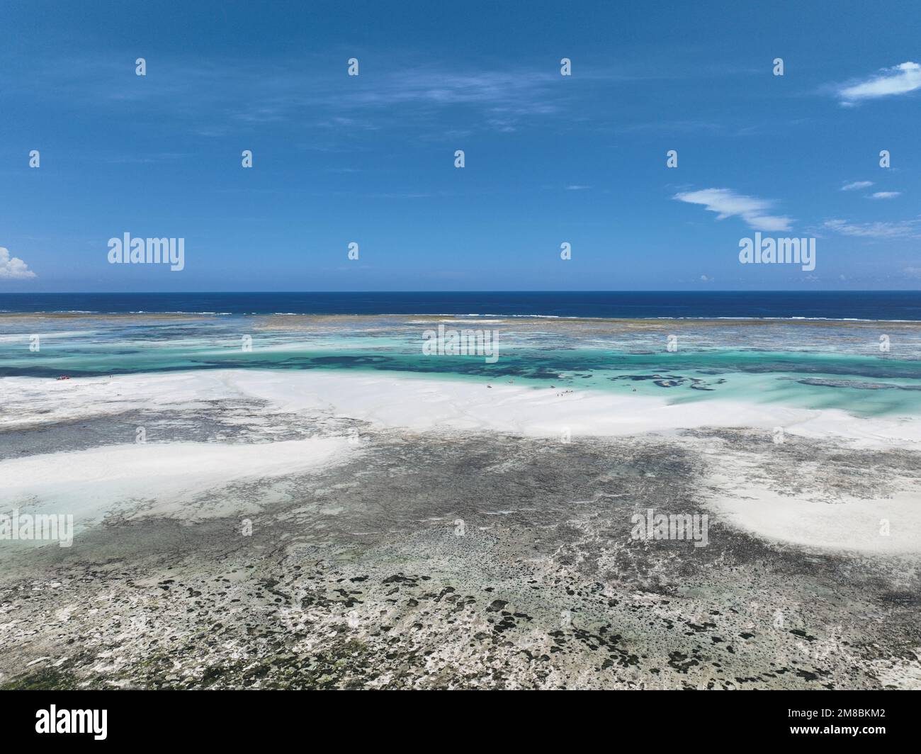 Zanzibar (Pingwe Beach on the largest island of the Zanzibar ...