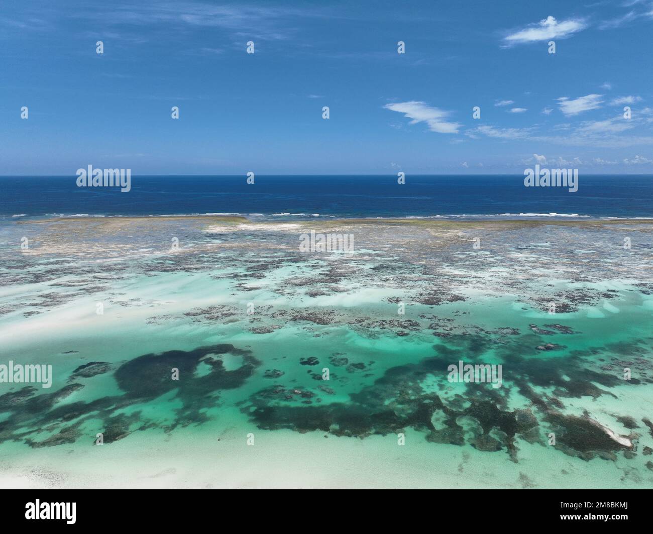 Zanzibar (Pingwe Beach on the largest island of the Zanzibar ...