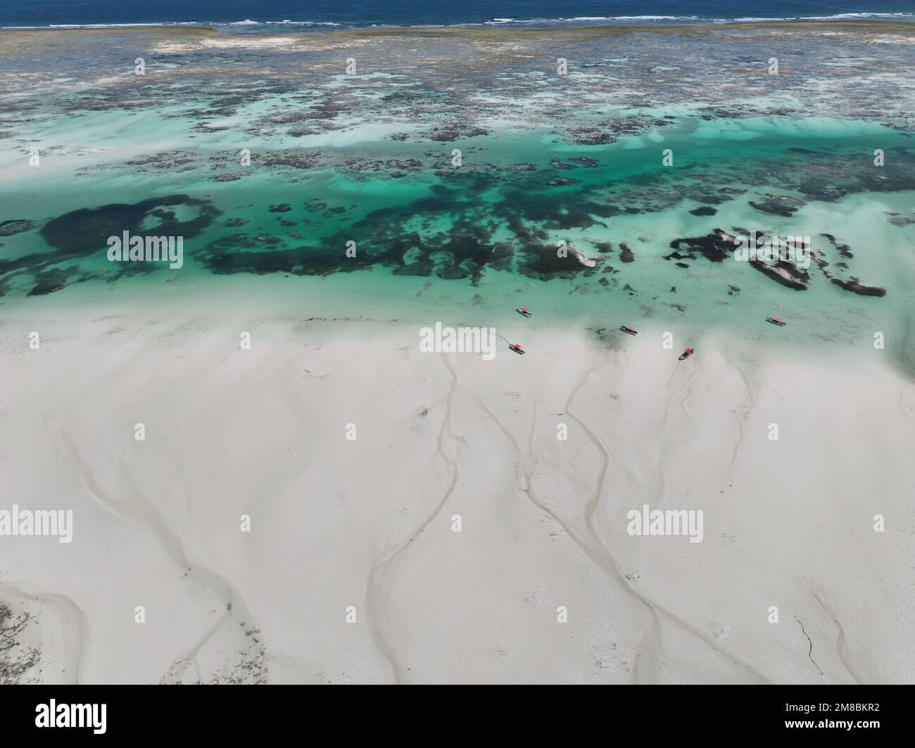 Zanzibar (Pingwe Beach on the largest island of the Zanzibar ...