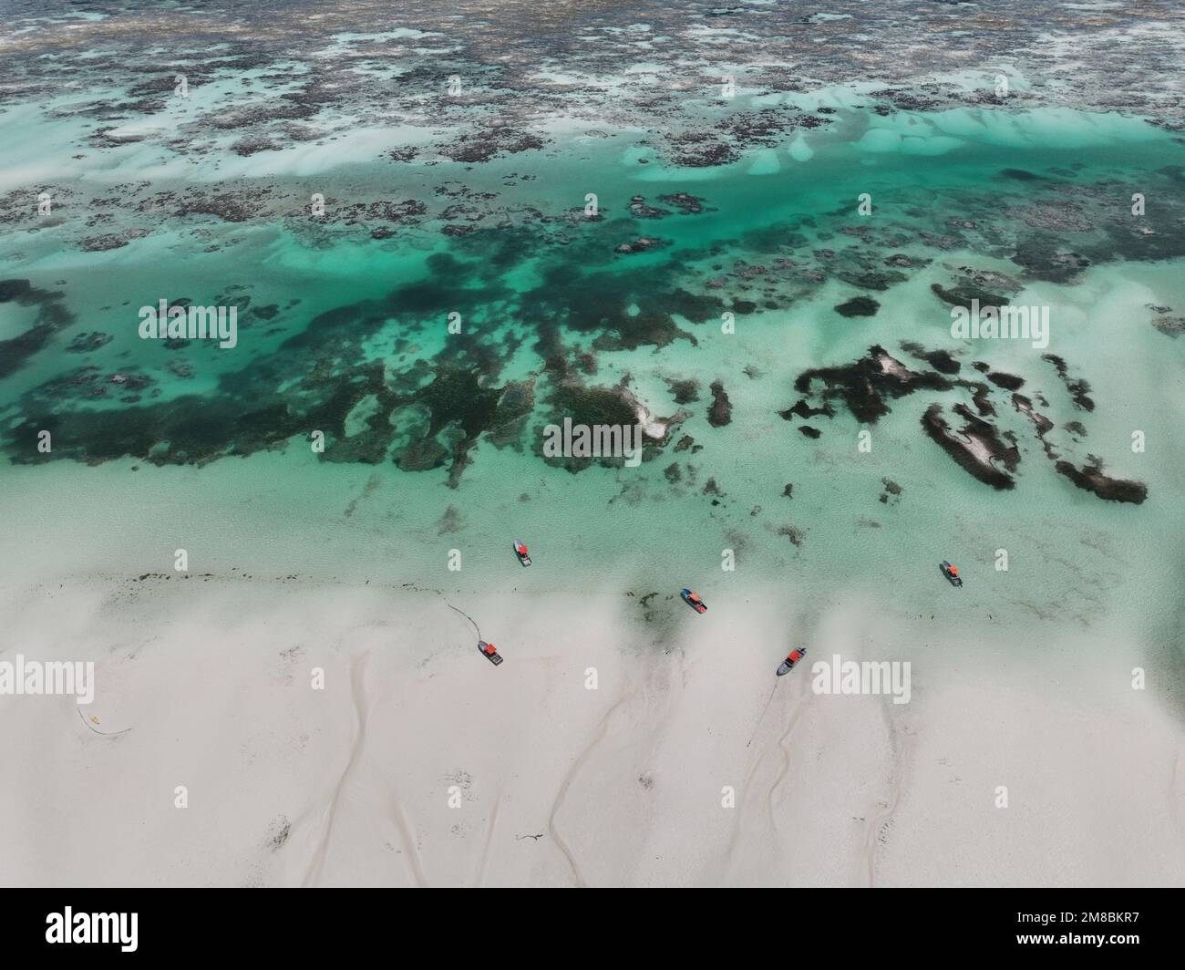 Zanzibar (Pingwe Beach on the largest island of the Zanzibar ...