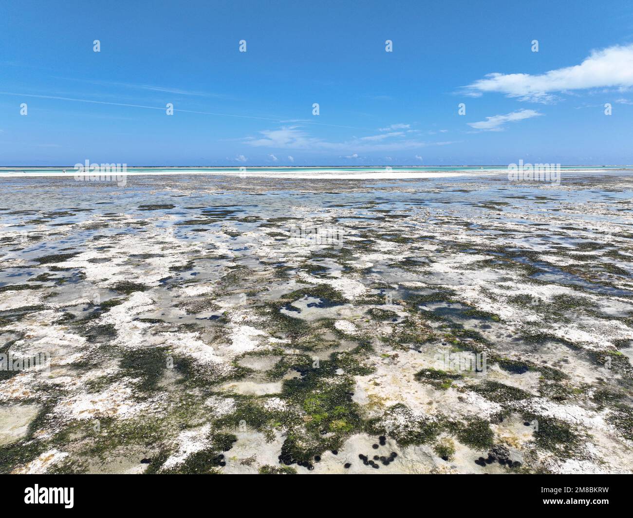 Zanzibar (Pingwe Beach on the largest island of the Zanzibar ...