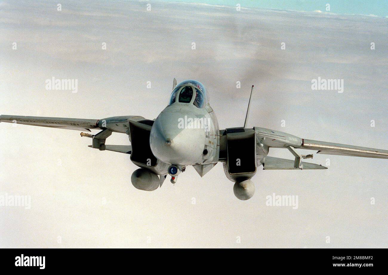 A head-on view of a Fighter Squadron 2 (VF-2) F-14A Tomcat aircraft ...