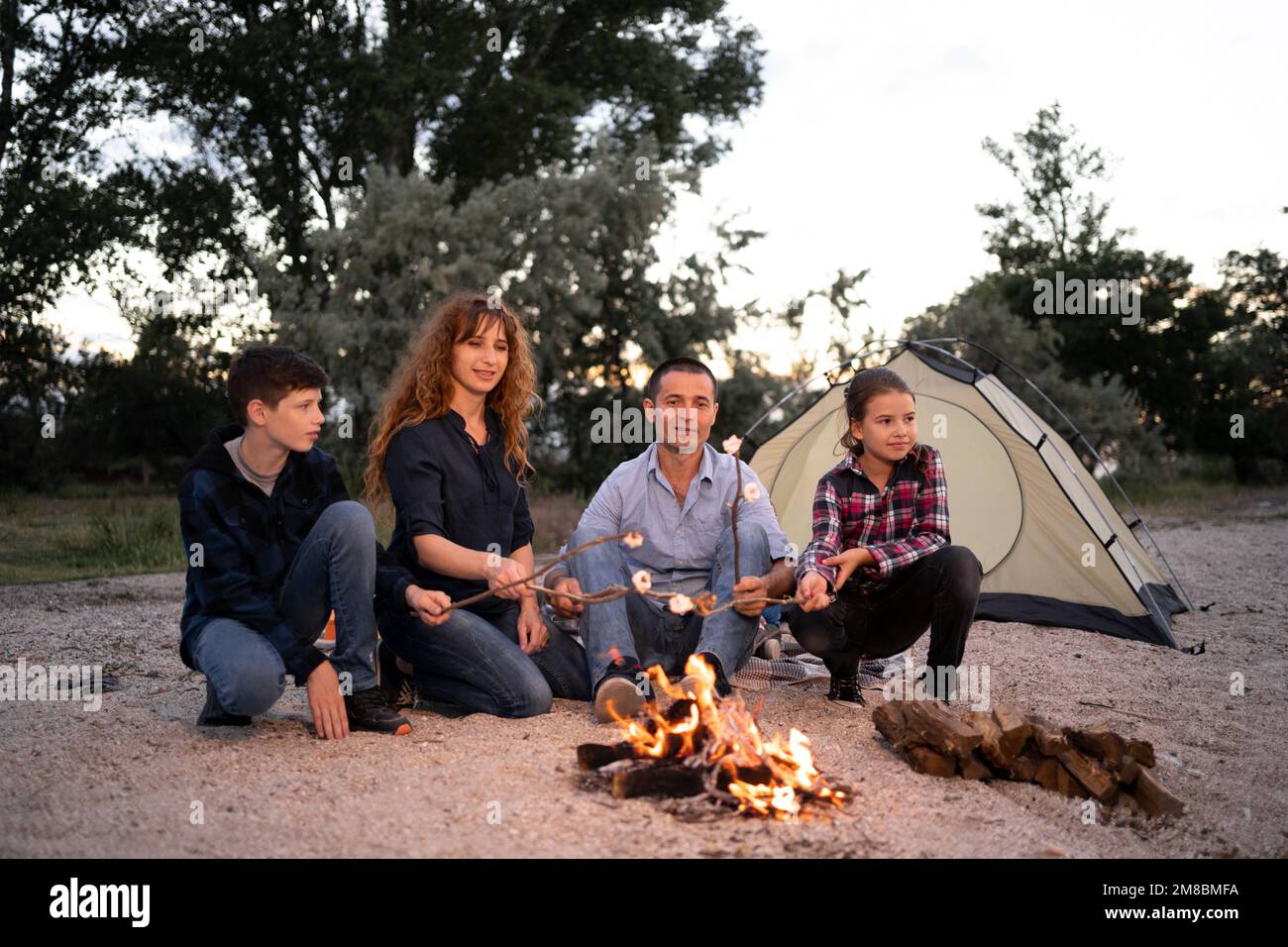 a family of four people, dad, mom, son and daughter are sitting around ...