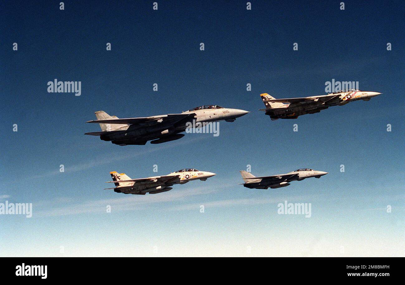 Four Fighter Squadron 2 (VF-2) F-14A Tomcat aircraft fly in formation ...
