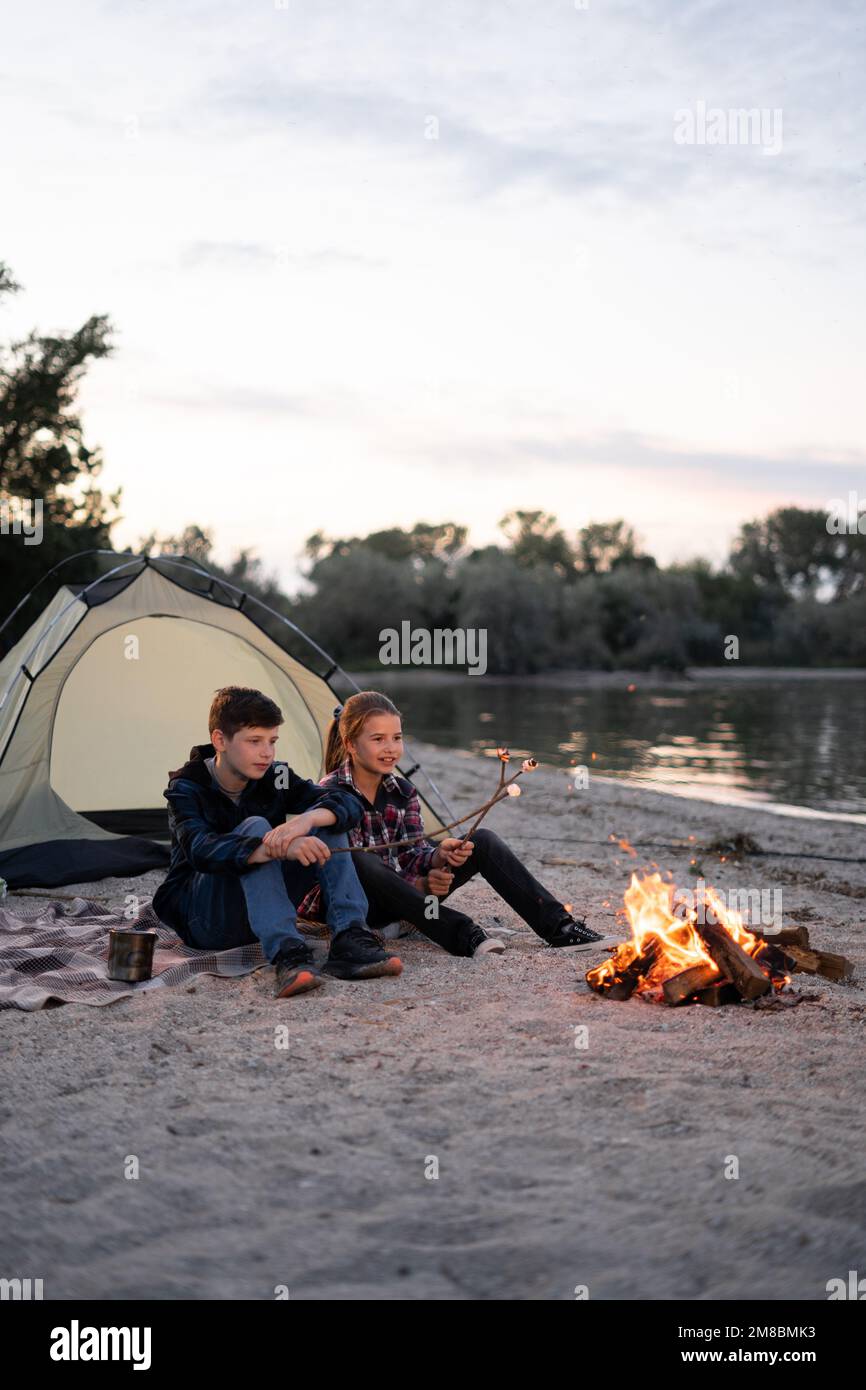 happy kids roasting bbq marshmallows on sticks around campfire resting at campsite Stock Photo ...