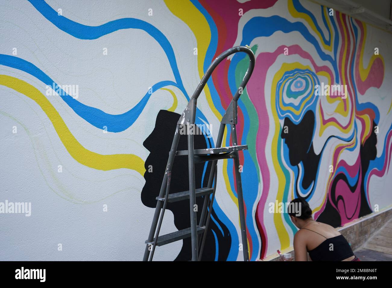 wall painting, Beautiful woman painting the wall colorfully Stock Photo ...
