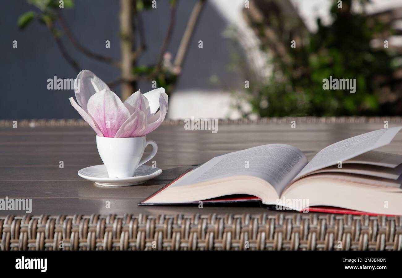 cup with a saucer on the table, there is a large magnolia flower in it ...