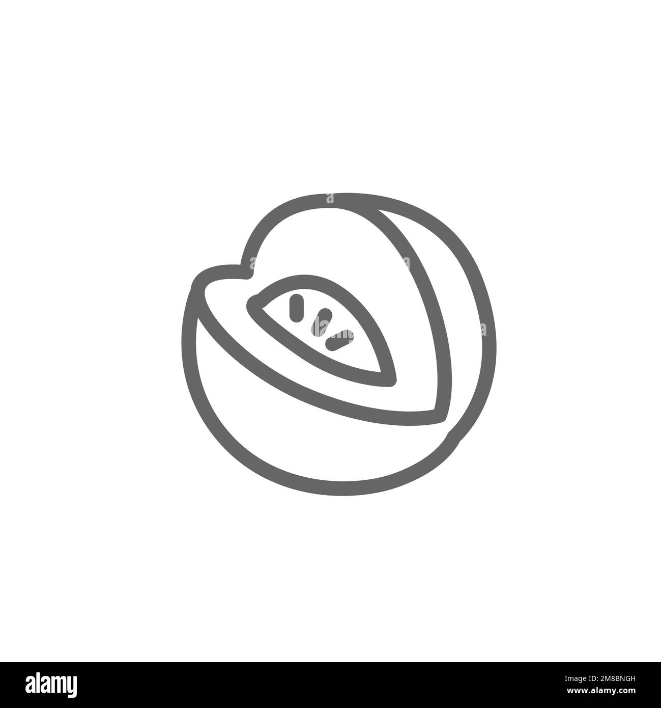 Hami Melon Line Icon Graphic Resource Template Vector Illustration Stock Vector Image And Art