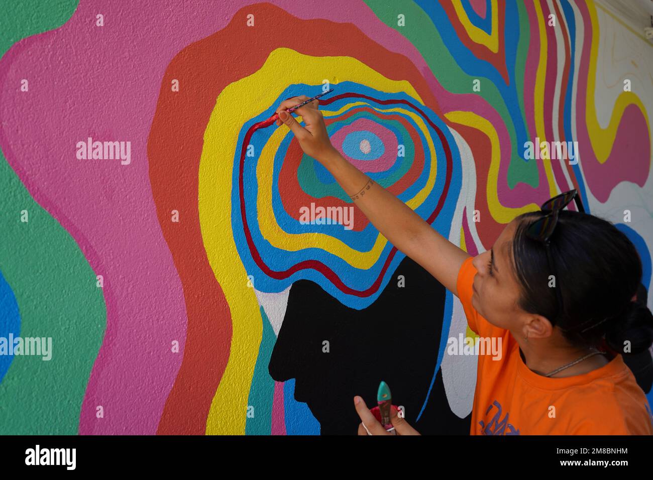 wall painting, Beautiful woman painting the wall colorfully Stock Photo ...