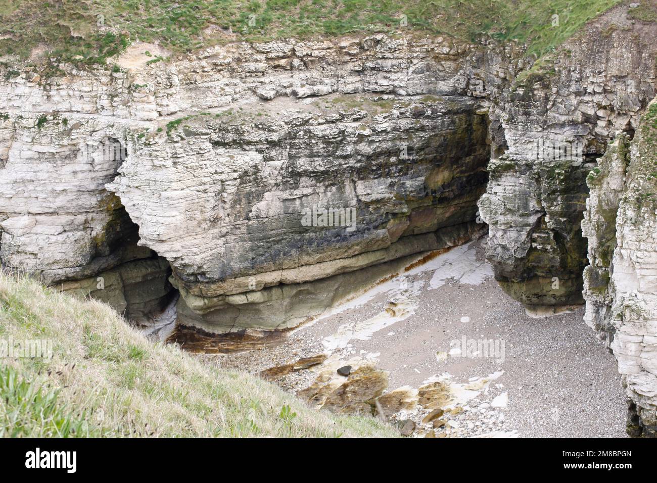 Sea caves at Flamborough East Yorkshire England Stock Photo - Alamy