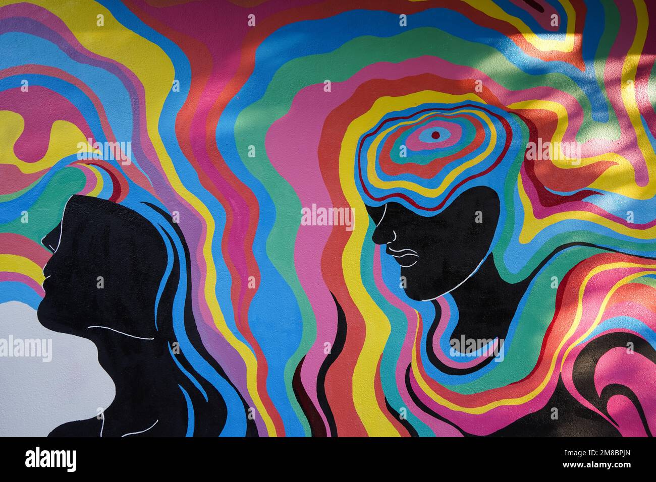 wall painting, Beautiful woman painting the wall colorfully Stock Photo ...