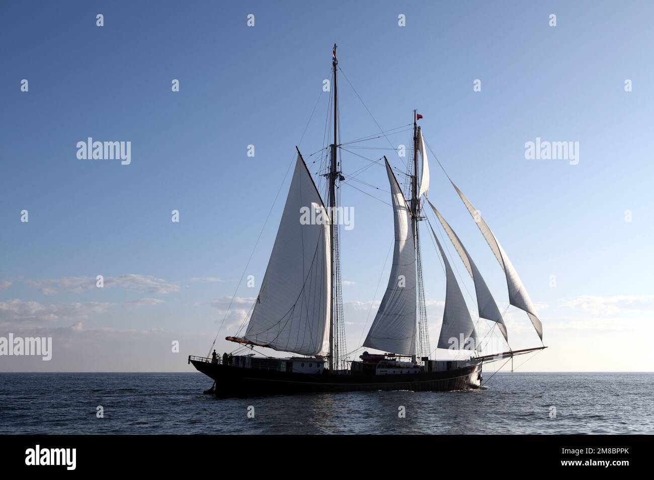 Dutch topsail schooner Wylde Swan, tall ships race, North Sea, 2010 ...