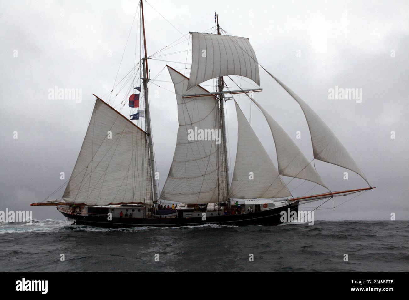 Dutch topsail schooner Wylde Swan, Lerwick race start, 2011 Stock Photo ...