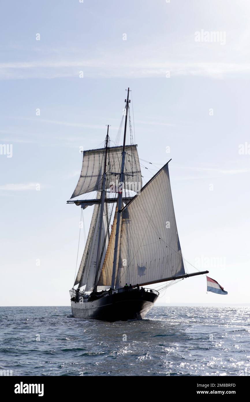 Dutch Topsail schooner Wylde Swan, Torbay race start, 2017 Stock Photo ...