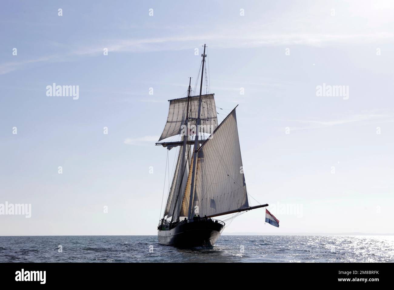 Dutch Topsail schooner Wylde Swan, Torbay race start, 2017 Stock Photo ...