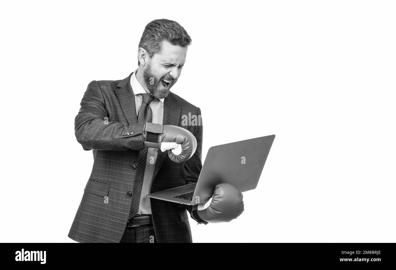 man boss punch laptop in boxing gloves. anger management. cyber ...