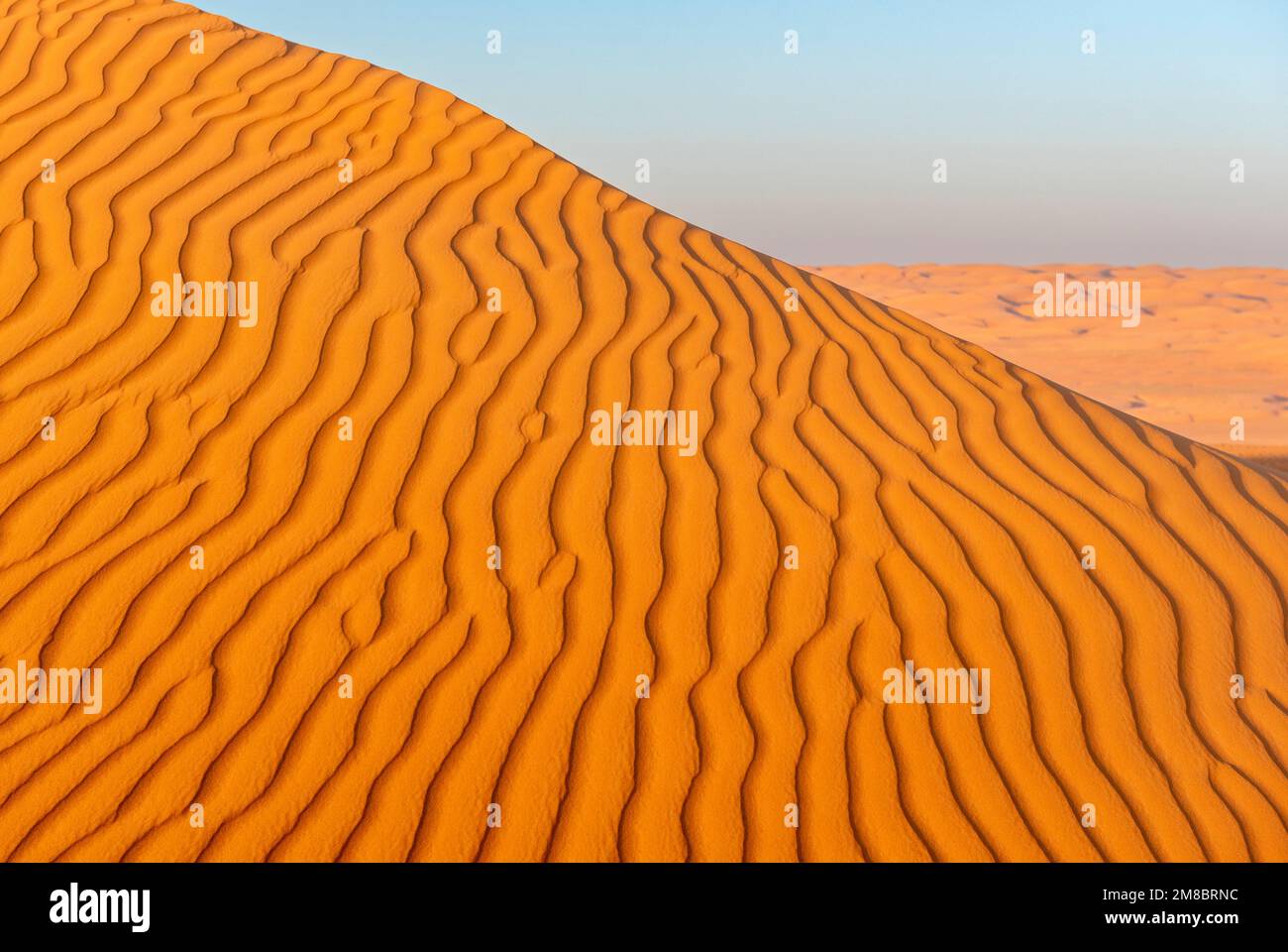 Sand dunes, Wahiba Sands Desert, Bidiyah, Oman Stock Photo - Alamy