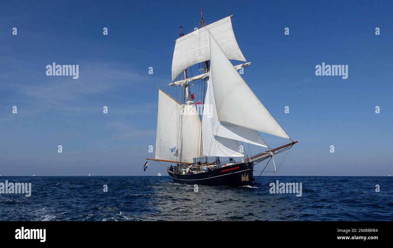 Dutch Topsail schooner Wylde Swan, Torbay race start, 2017 Stock Photo ...