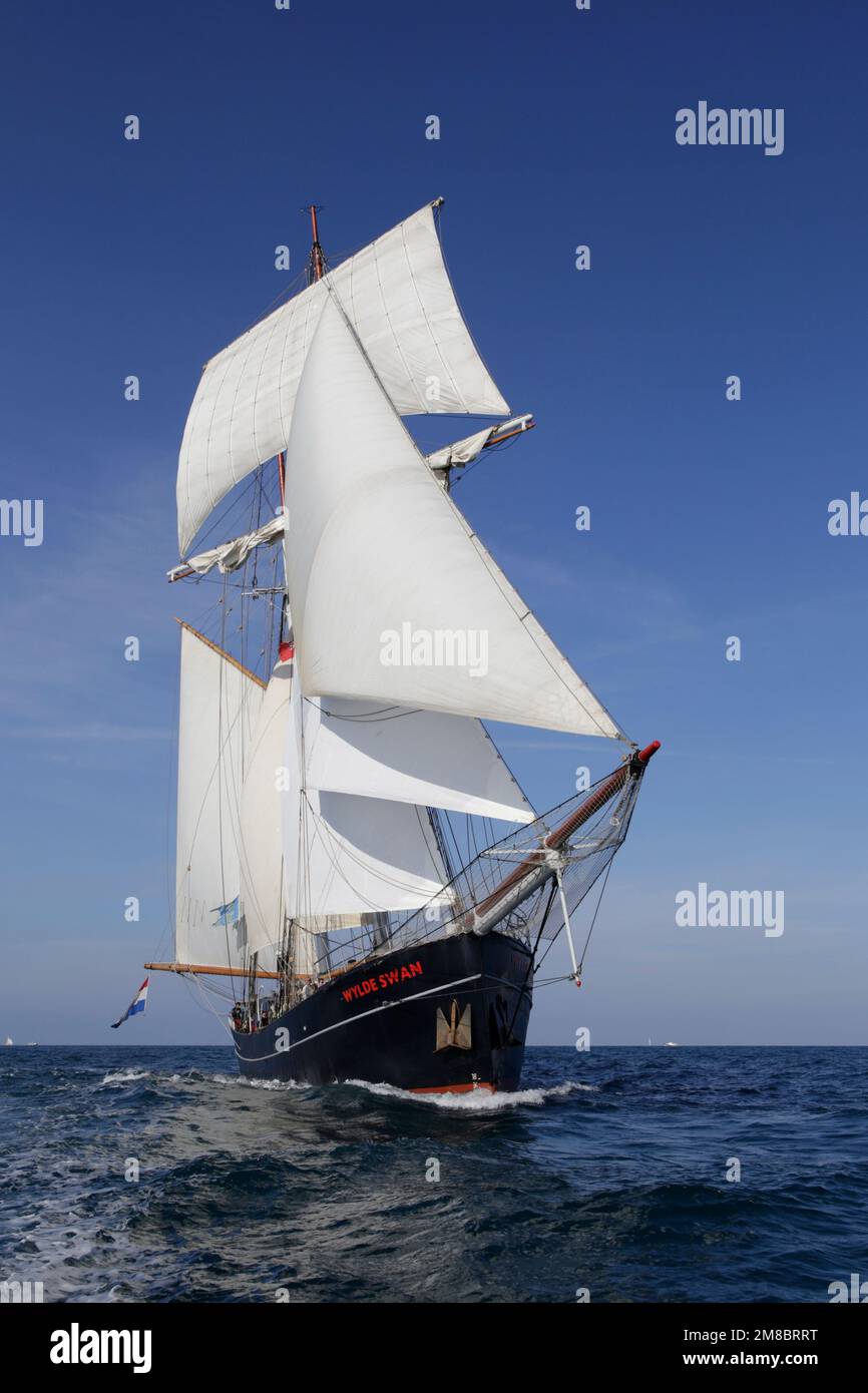 Dutch Topsail schooner Wylde Swan, Torbay race start, 2017 Stock Photo ...