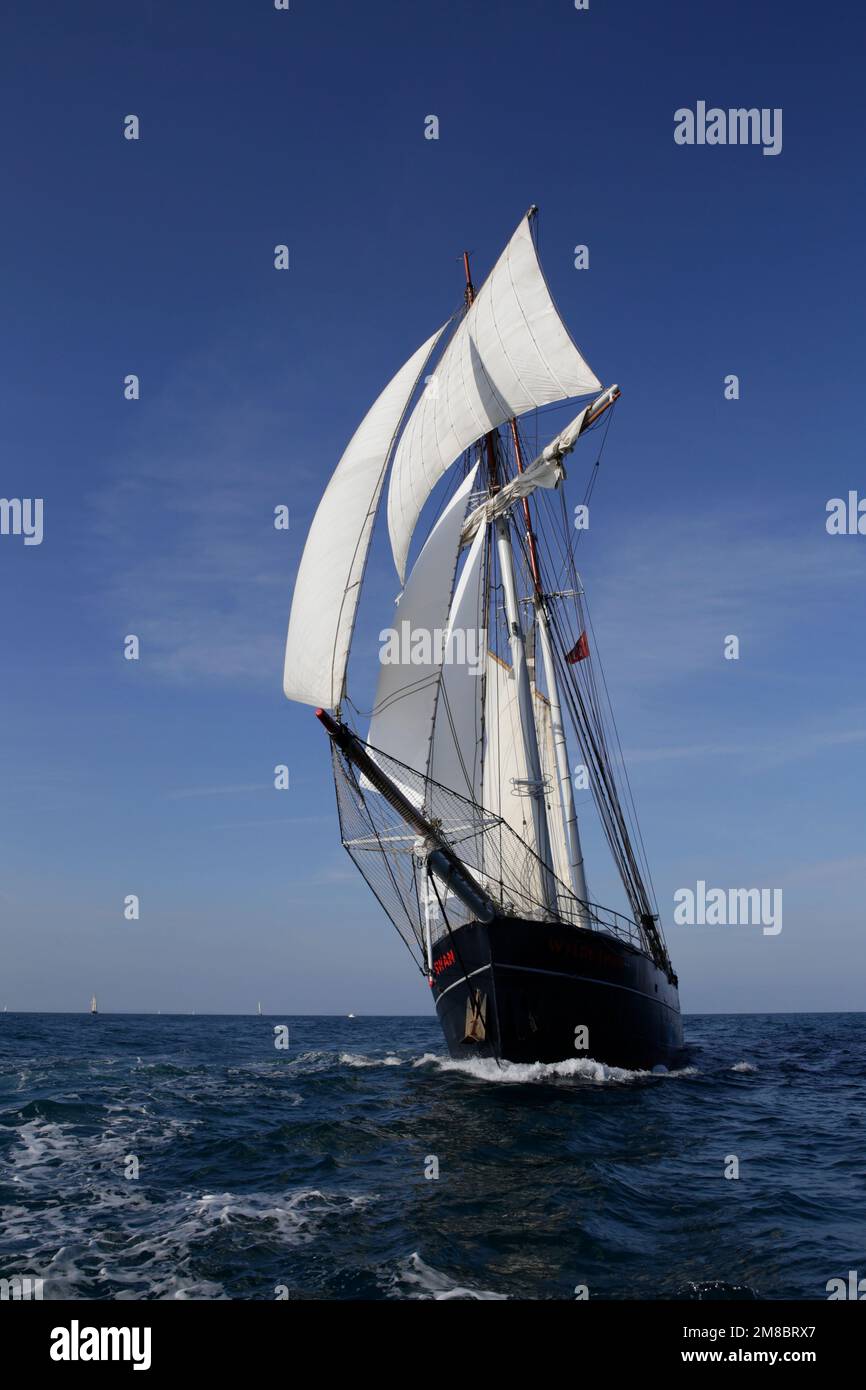 Dutch Topsail schooner Wylde Swan, Torbay race start, 2017 Stock Photo ...