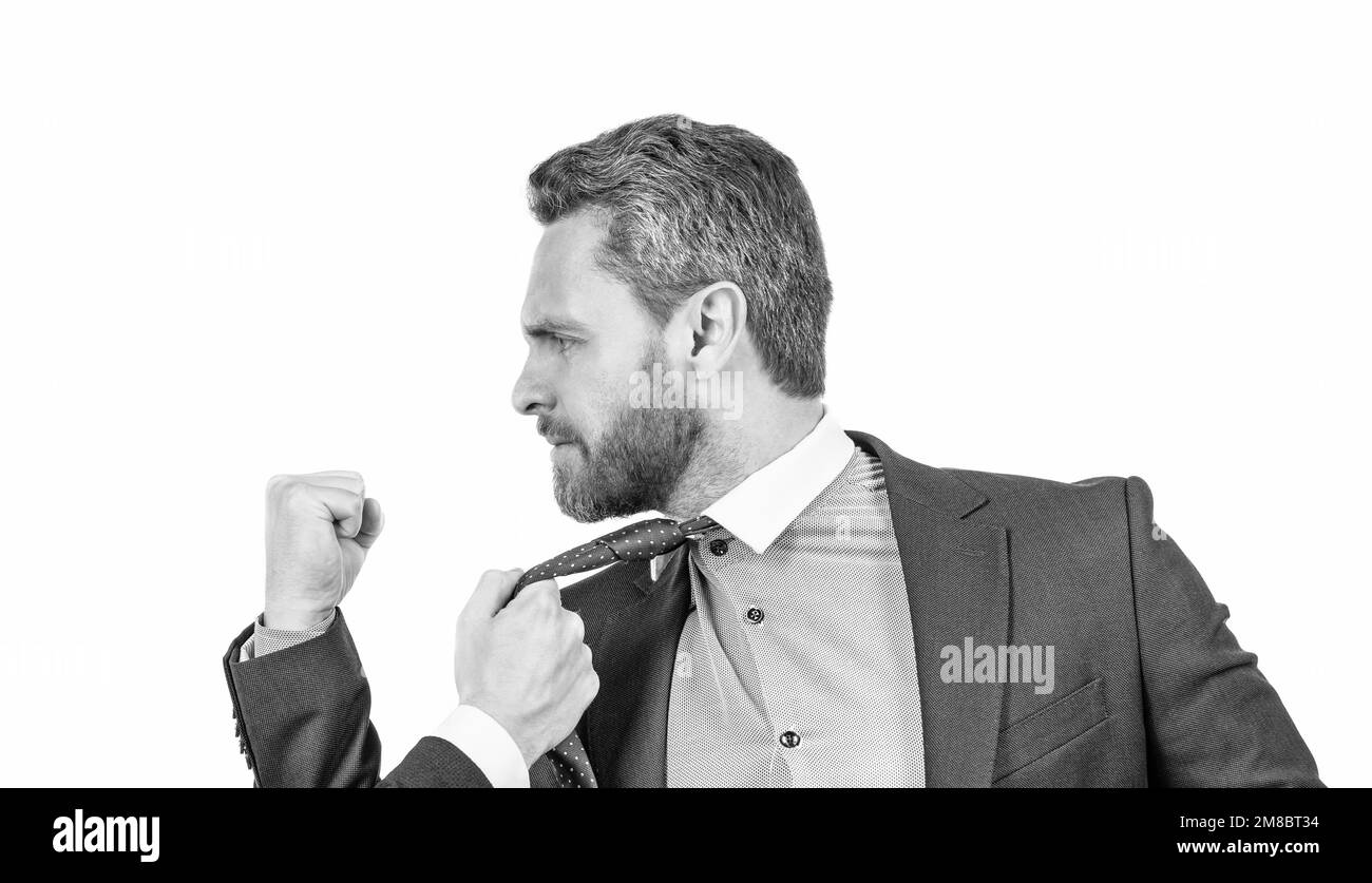 Aggressive professional business man shake fist to male adult pulling ...