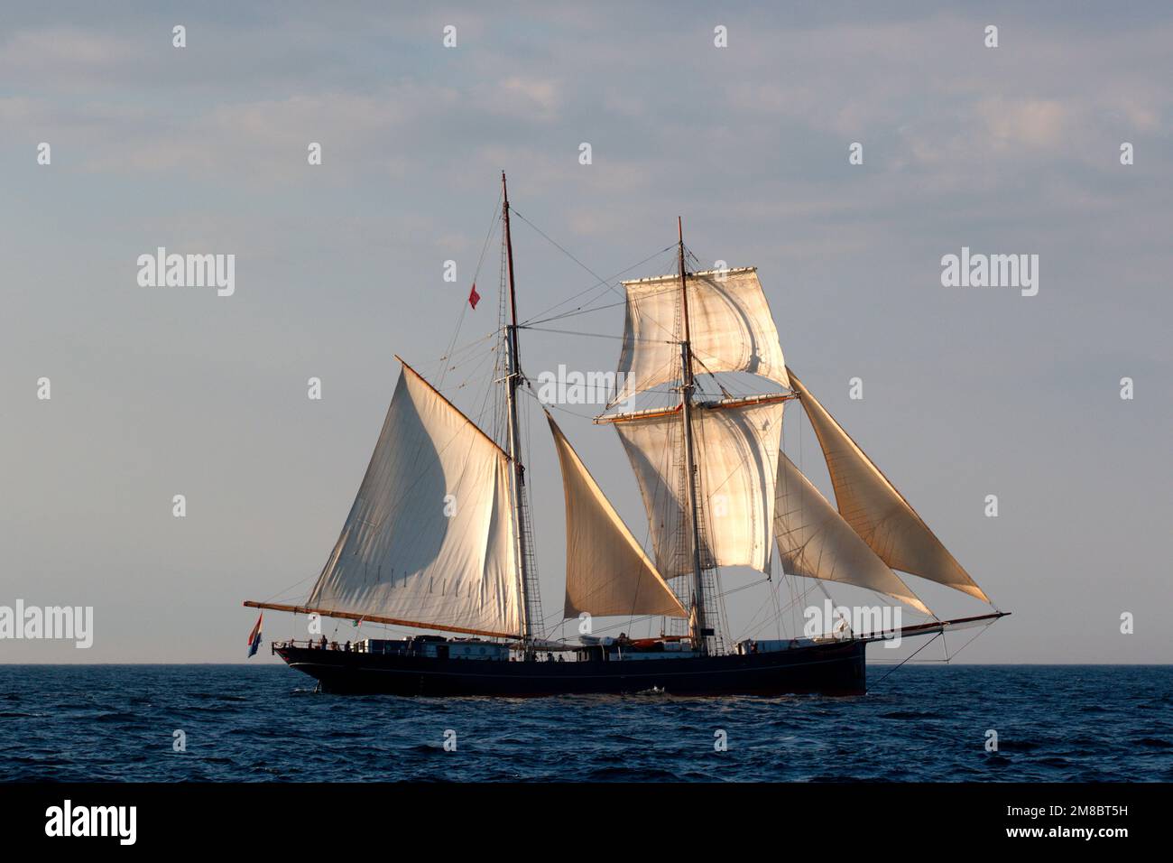 Dutch topsail schooner Wylde Swan, Sunderland race start, 2018 Stock ...