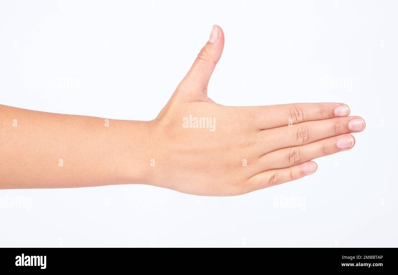 Woman, handshake or hello on studio background in greeting success ...