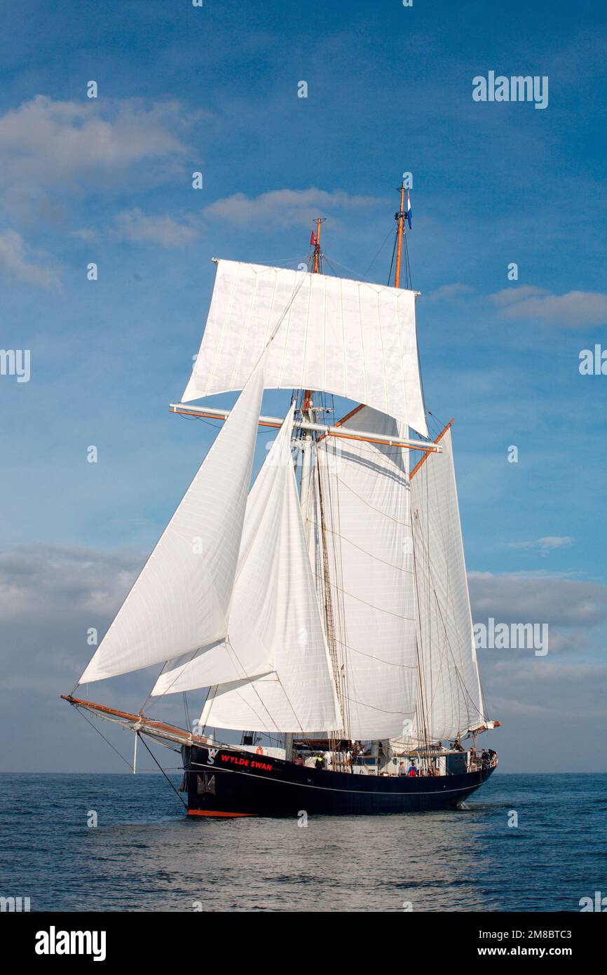 Dutch topsail schooner Wylde Swan, race start, 2010 Stock Photo - Alamy