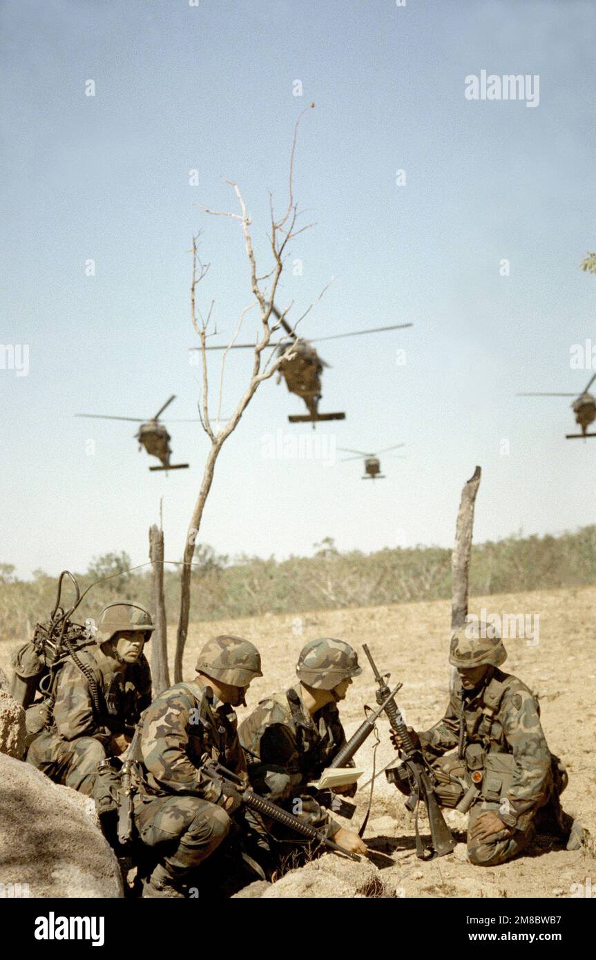 UH-60 Hawk helicopters of Co. A, 3rd Aviation Bn., 25th Aviation Bde ...