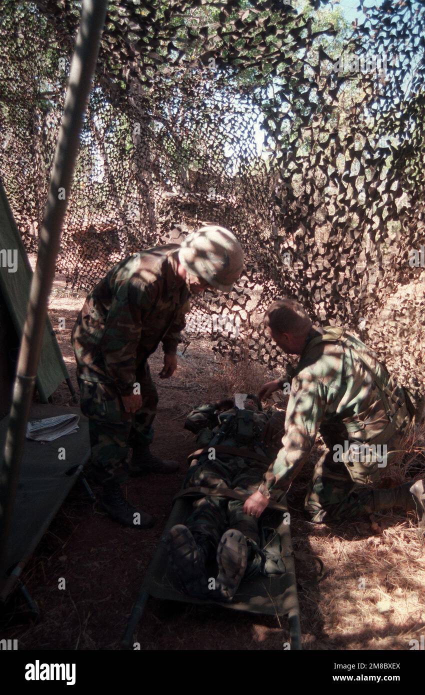 Two 25th Inf. Div. (Light), medics tend to a simulated casualty during ...