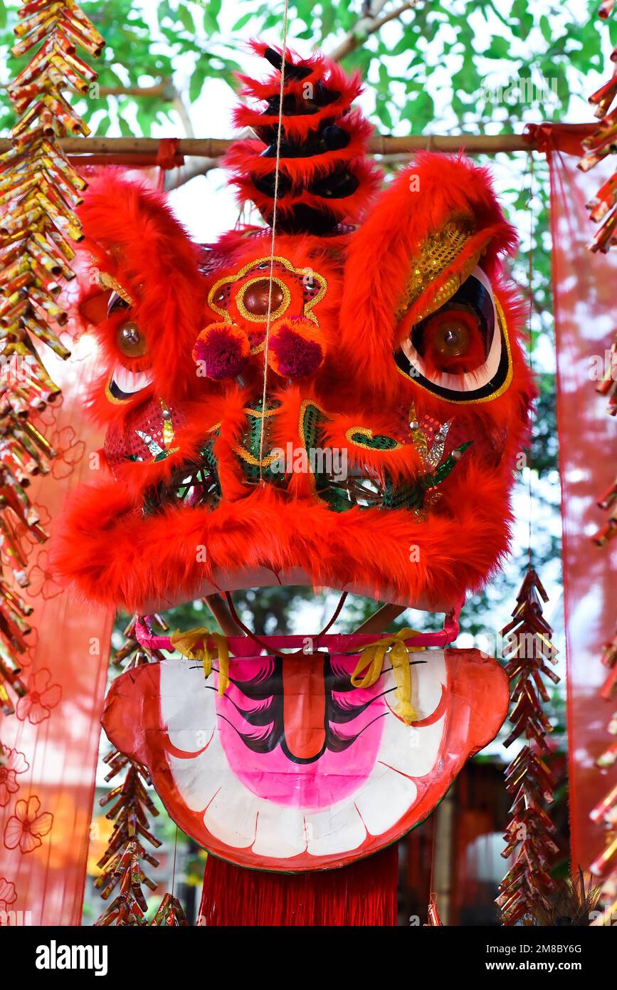 Big red head of dragon as decor for Tet Lunar New Year in Vietnam Stock ...