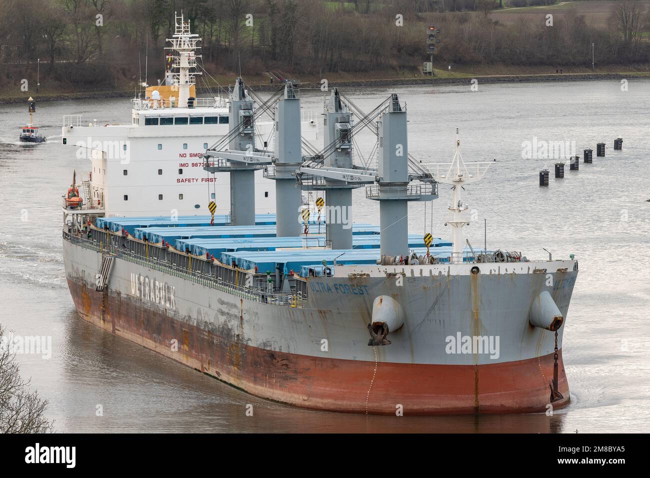 Ultra forest hi-res stock photography and images - Alamy