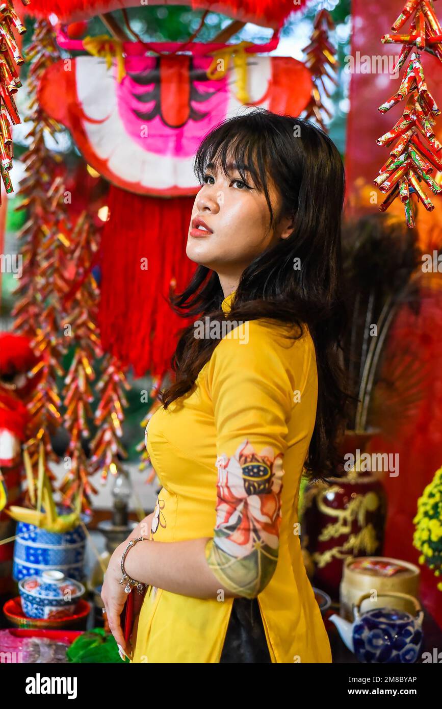 Beautiful Vietnamese woman in traditional vietnamese dress in Tet Lunar ...