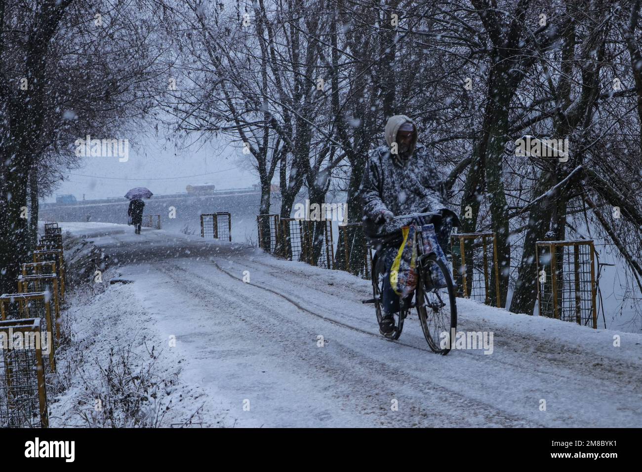 January 13, 2023, Srinagar, Jammu and Kashmir, India: A man cycles ...