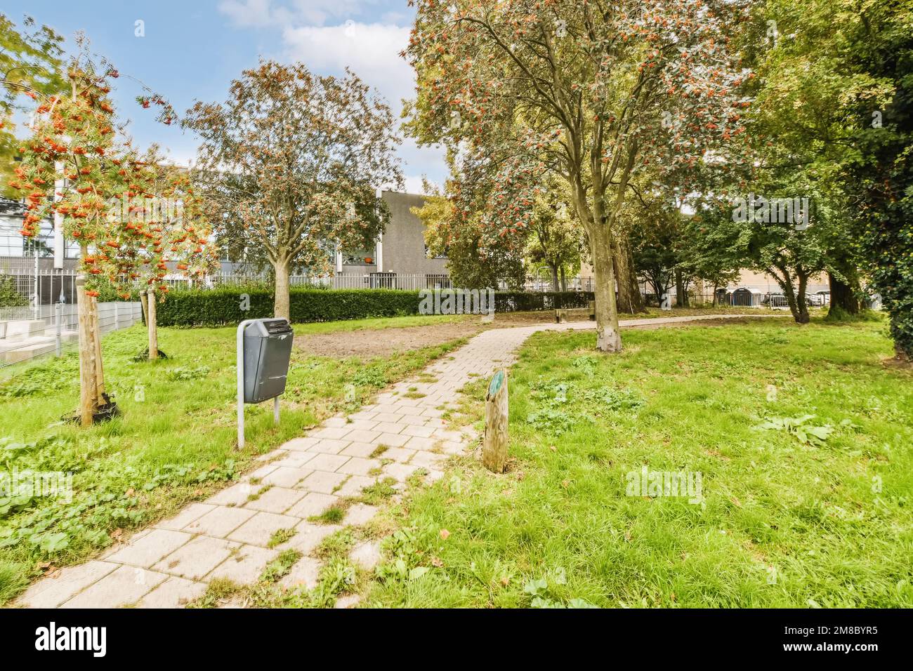 an empty sidewalk in the middle of a residential area with trees and ...