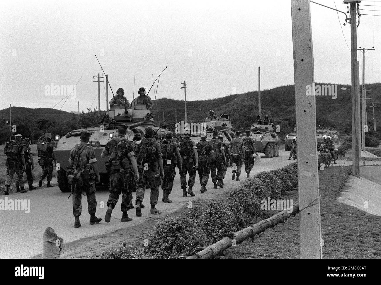 Several LAV-25 light armored vehicles pass between two columns of ...