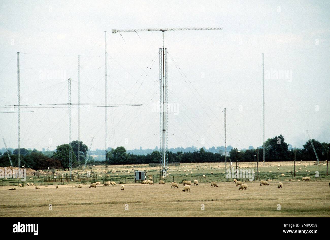 Sheep graze around several high-frequency (HF) radio antennas. The ...